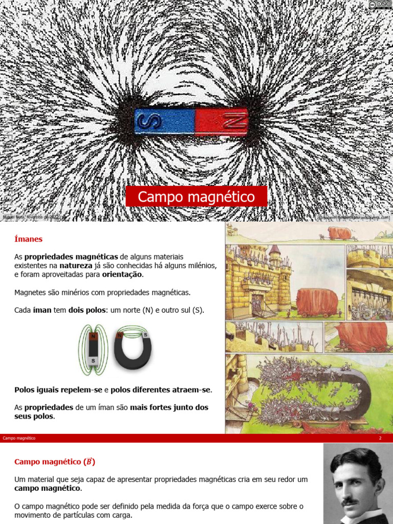 Campo Magnetico | PDF | Campo magnético | Magnetismo