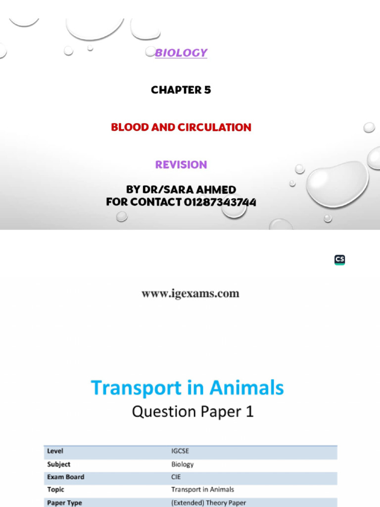 Past Paper 1 CIE | PDF