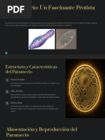 Partes y características del paramecio | PDF | Bioquímica | Química