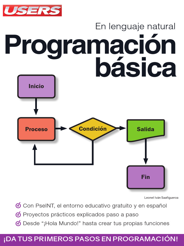 PROGRAMACIÓN BASICA | PDF | Programa de computadora | Programación