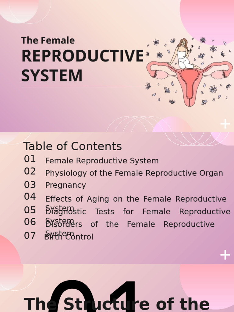 Female Reproductive System Overview | PDF | Menstrual Cycle | Ovarian ...