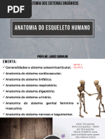 Aula 1 - Planos e Eixos | PDF | Anatomia | Corpo humano