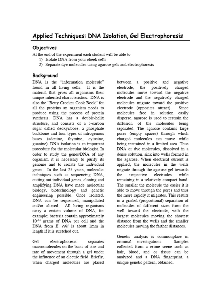 DNA Isolation Revised 1 | PDF | Gel Electrophoresis | Agarose Gel ...