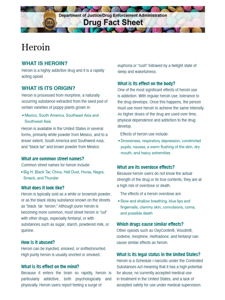 Heroin 2022 Drug Fact Sheet | PDF | Heroin | Morphine