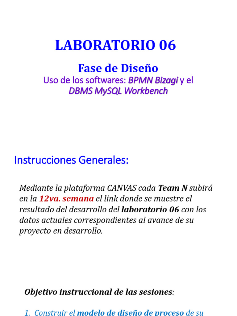 2024 II Lab 06 Project Design (1) | PDF | Informática | Business