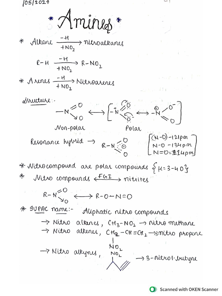 Amines Notes | PDF