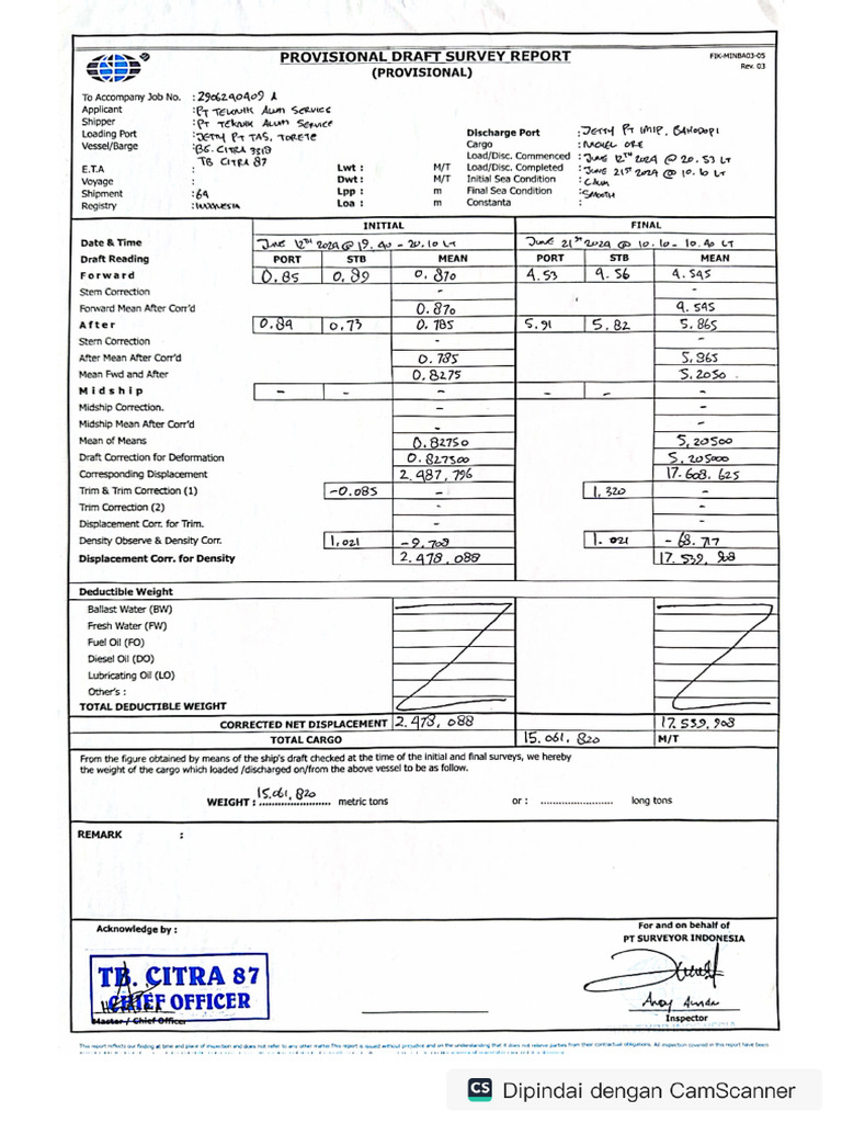 Draft survey report | PDF