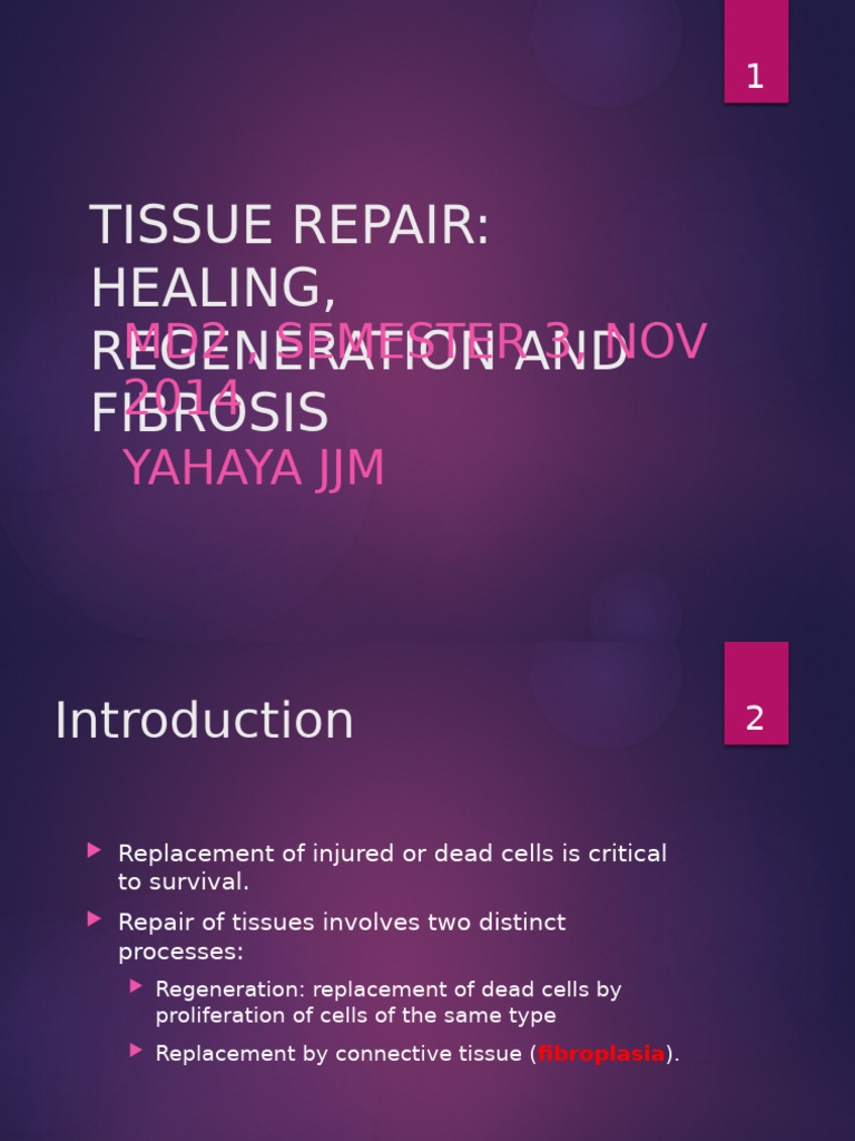 4.Tissue Repair- Healing,Regeneration and Fibrosis | PDF | Cell ...