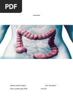 Cirurgia de Hartmann: Procedimentos e Cuidados | PDF ...