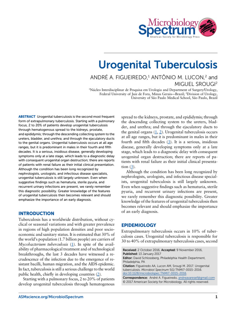 Urogenital Tuberculosis 2017 | PDF | Prostate | Tuberculosis