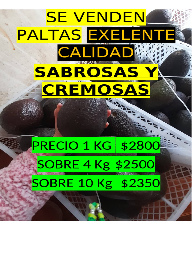 Venta de Paltas de Excelente Calidad | PDF