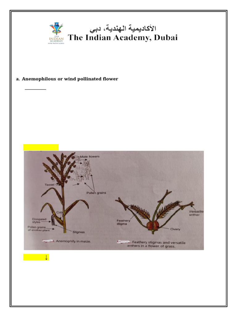 SECTION B - Bio Record 2024-25 | PDF | Dominance (Genetics) | Zygosity