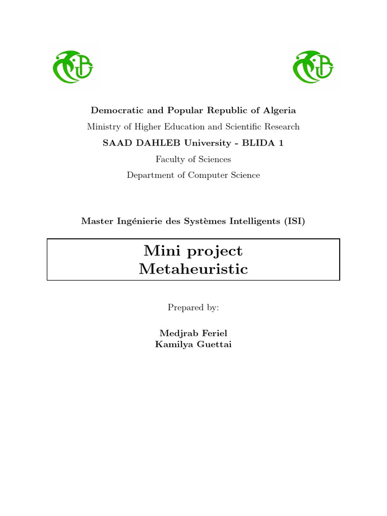 Meta_H_Report | PDF | Mathematical Optimization | Algorithms And Data Structures