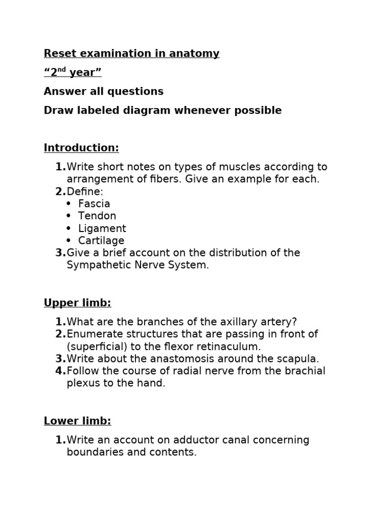 Reset Examination in Anatomy | PDF