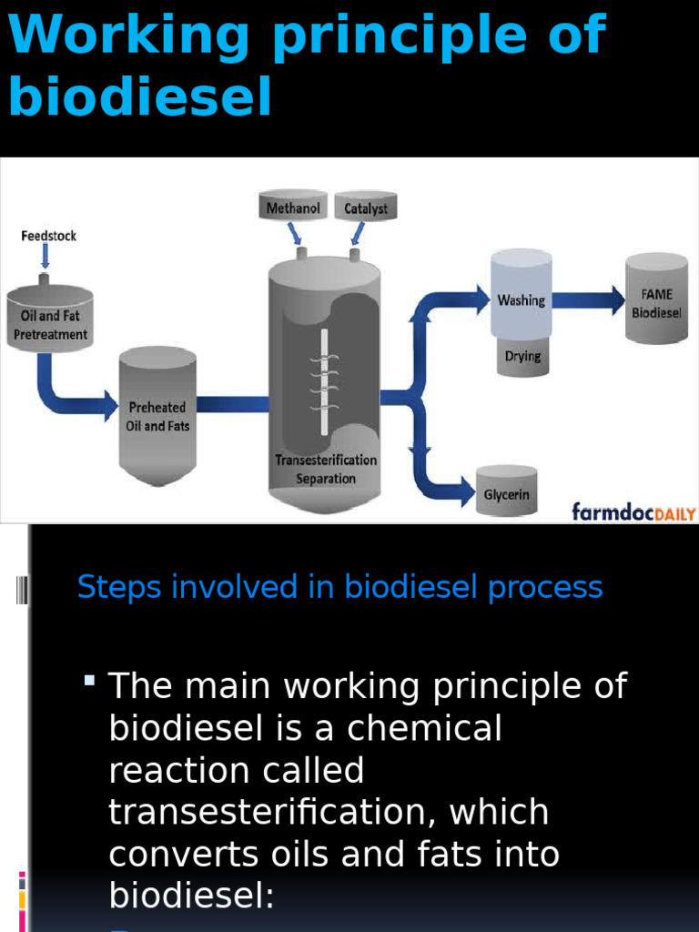 Working Principle of Biodiesel | PDF