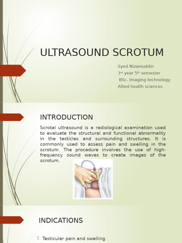 Scrotal Ultrasound: Procedure & Indications | PDF