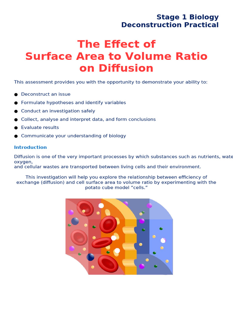 Stage 1 Biology Summative Practical 2024 | PDF | Experiment ...