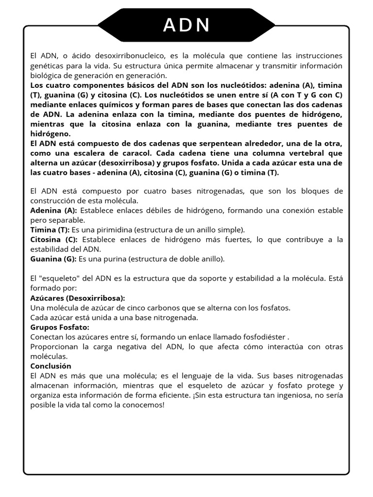 Minimalist Black and White Blank Paper Document | PDF