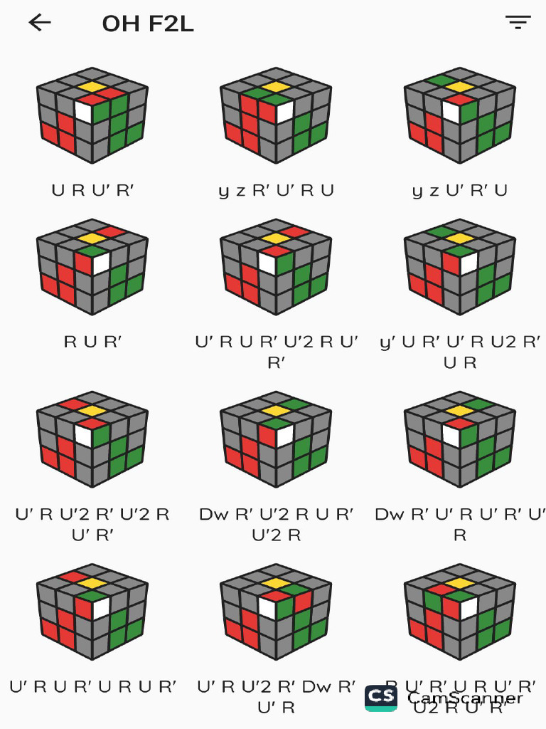 F2L OH(1) | PDF