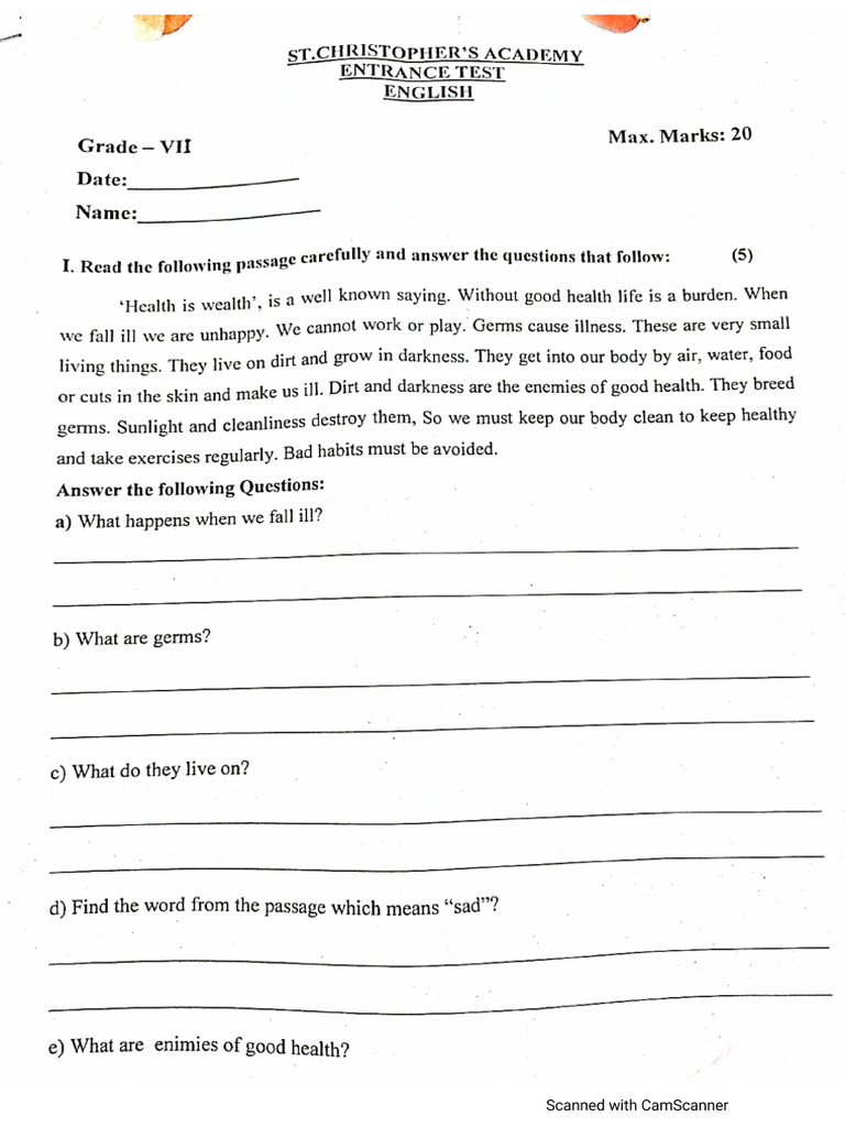 Grade 7 Entrance Test | PDF