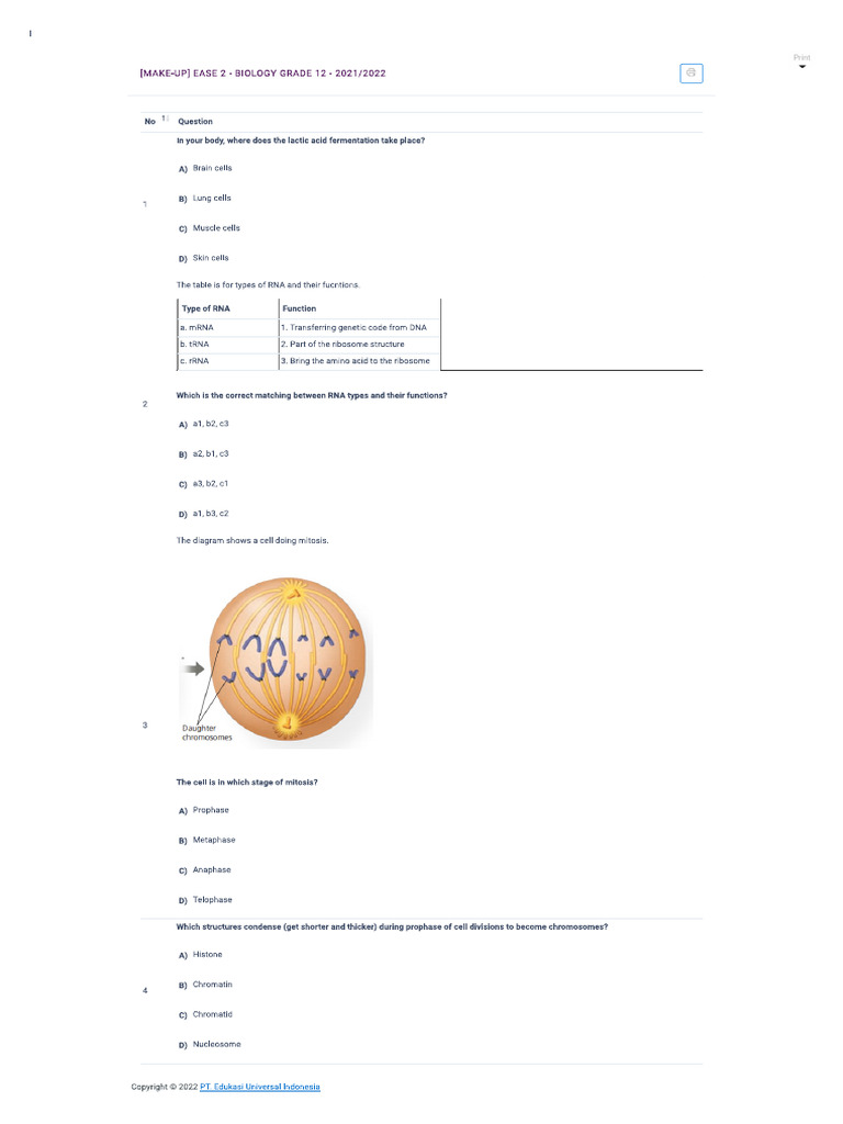 Chapter 4 Cell Division | PDF