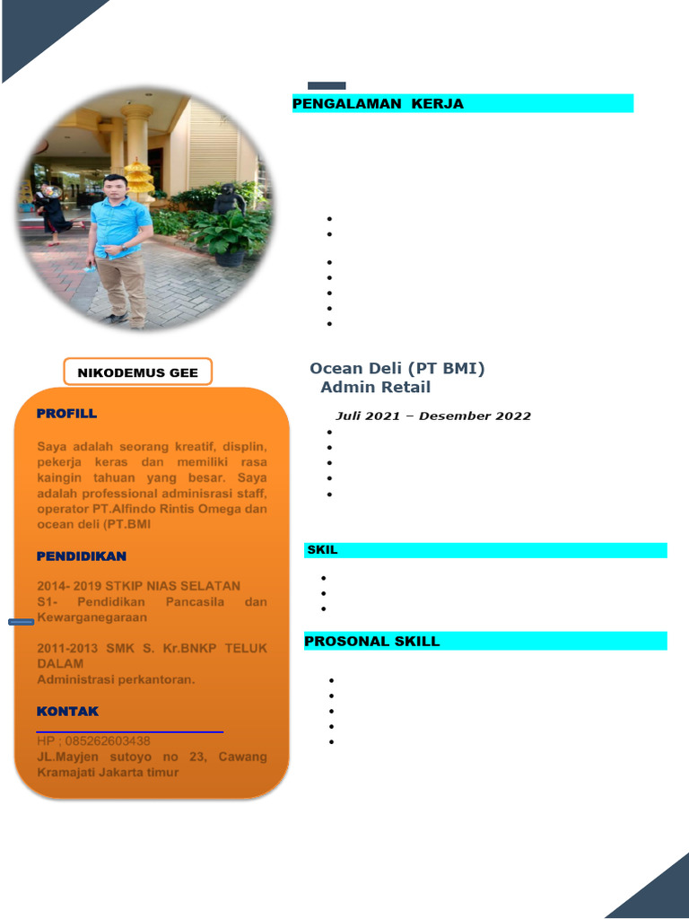 CV Nikodemus Gee | PDF