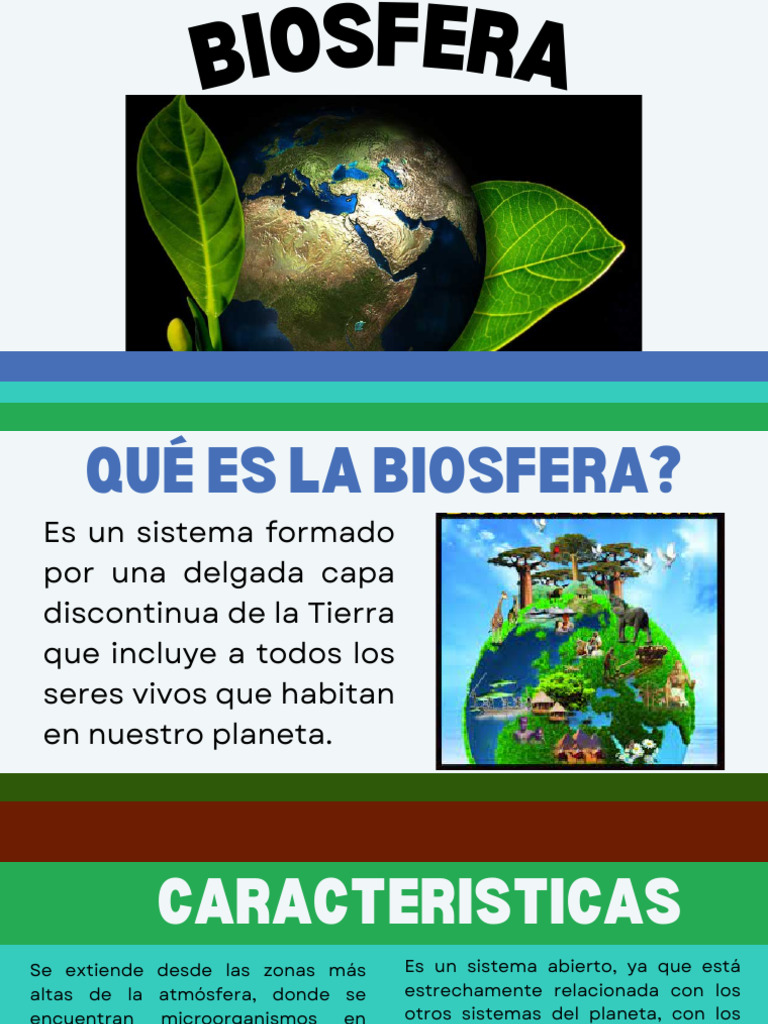 Importancia de la Biosfera y sus Capas | PDF