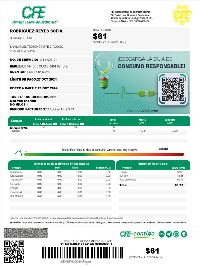 Recibo Cfe | PDF | Energia electrica | Poder (Física)