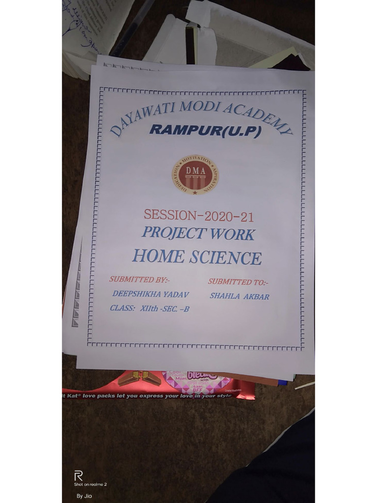Homescience Project | PDF