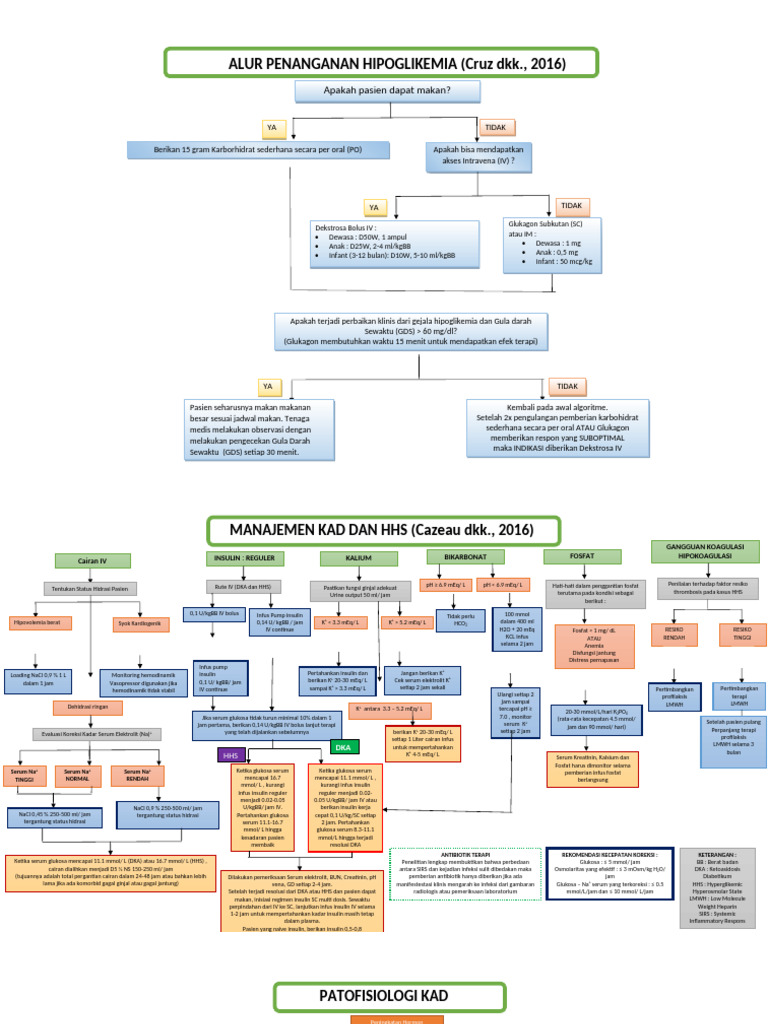 Alur Penanganan Hipoglikemia, Manajemen Kad & HHS, Patofisiologi Kad | PDF