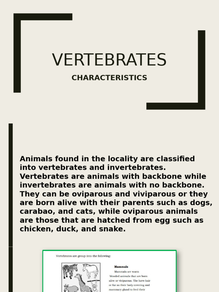 VERTEBRATES | PDF