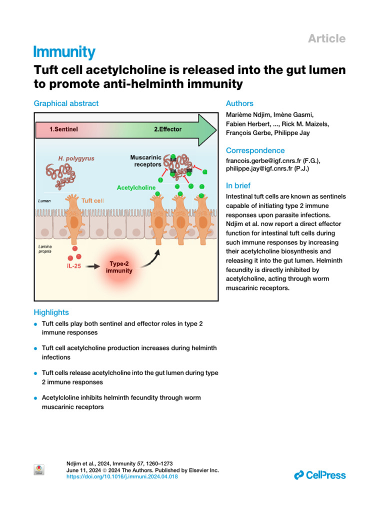 Tuft Cell Acetylcholine is Released Into the Gut l | PDF ...