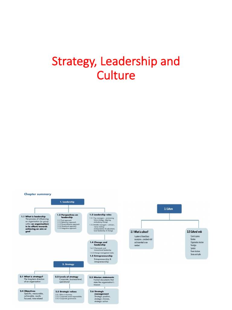 Strategy Leadership and Culture | PDF | Entrepreneurship | Social ...
