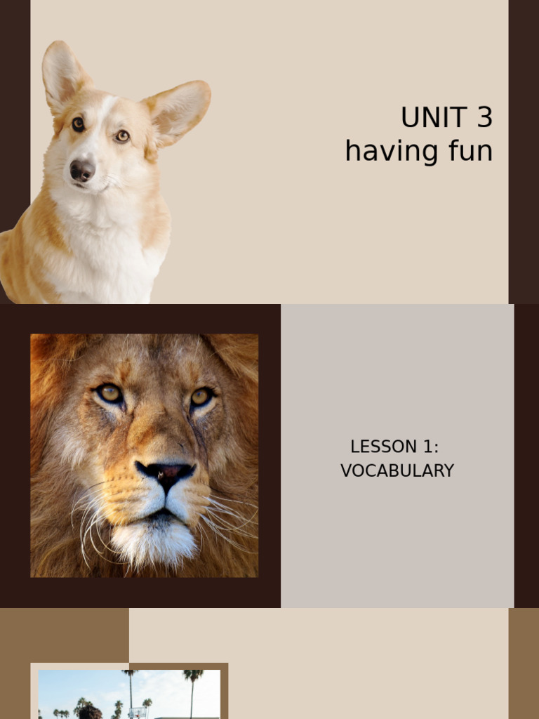 Unit 3 Complete Pet | PDF