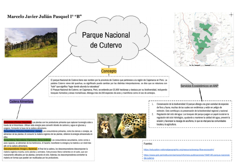 Parque Nacional de Cutervo | PDF