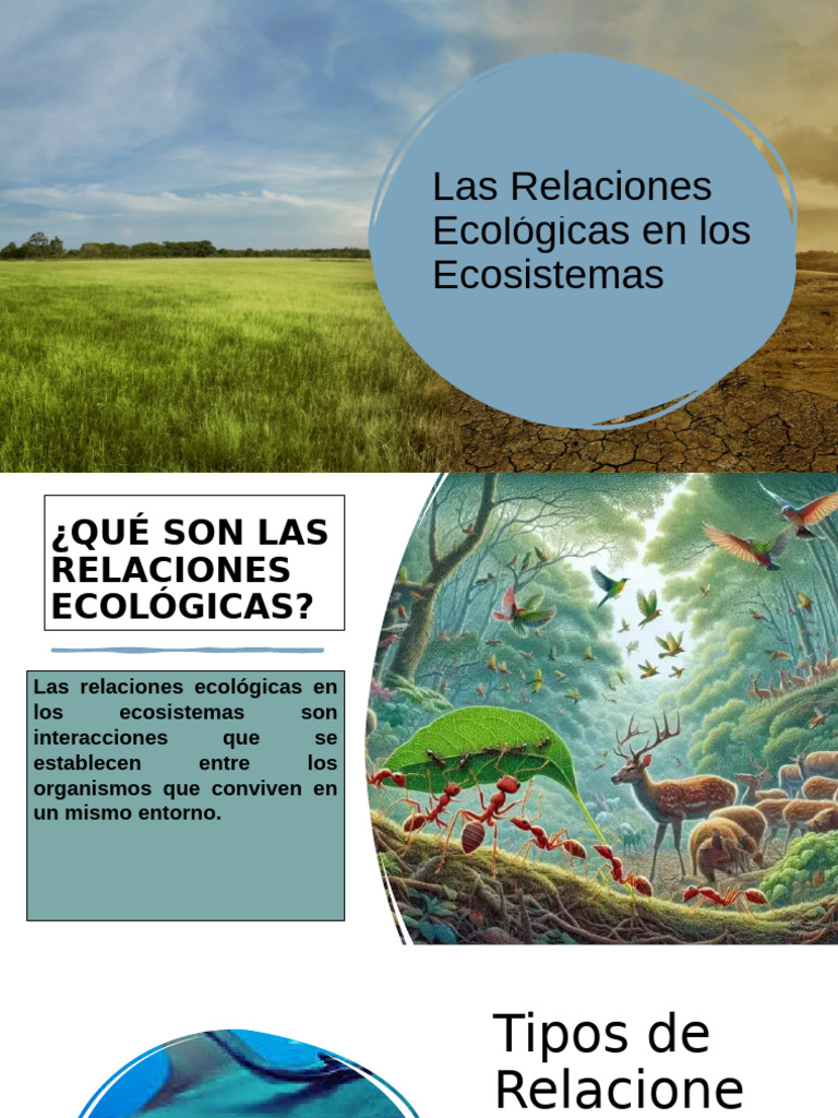 Relaciones Ecológicas en Ecosistemas | PDF | Entorno natural | Organismos