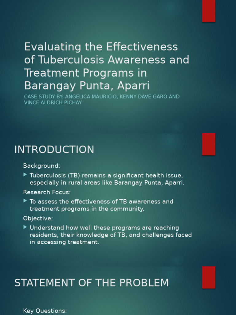 Punta - Case Study Presentation | PDF | Tuberculosis | Social Programs