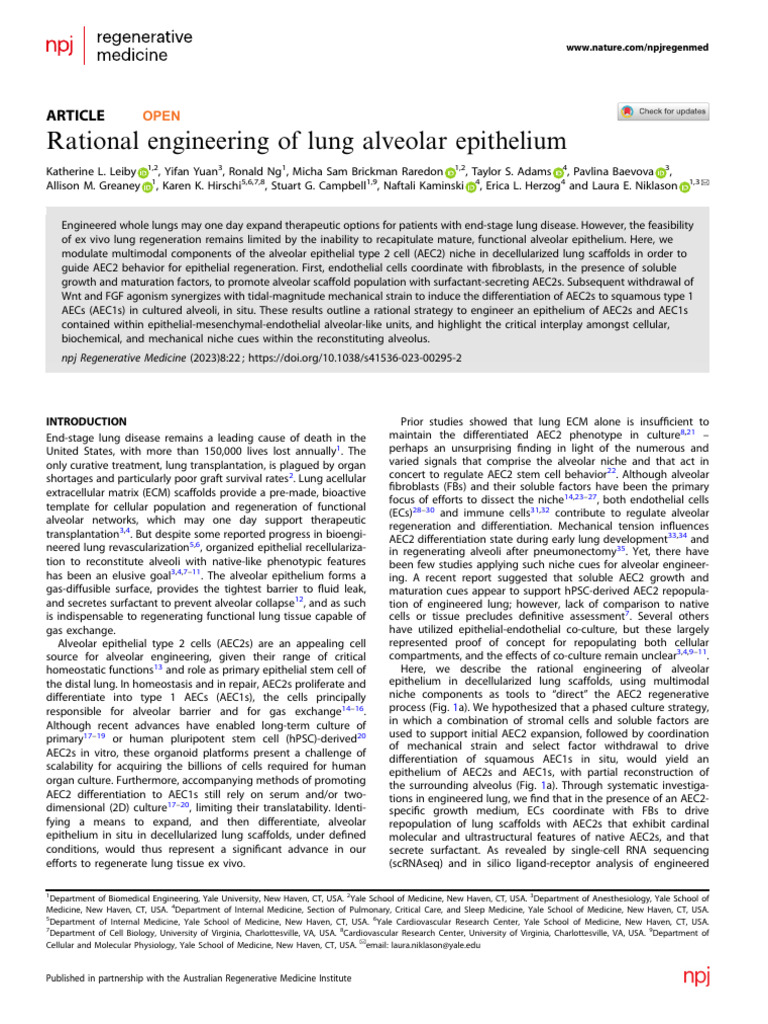 Rational Engineering of Lung Alveolar Epithelium | PDF | Epithelium | Lung