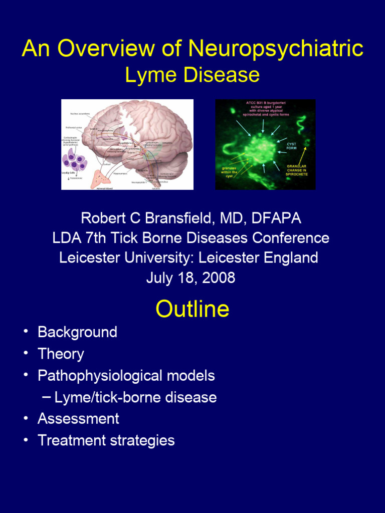 Neuropsychiatric Lyme Disease - Bransfield | PDF | Lyme Disease | Infection