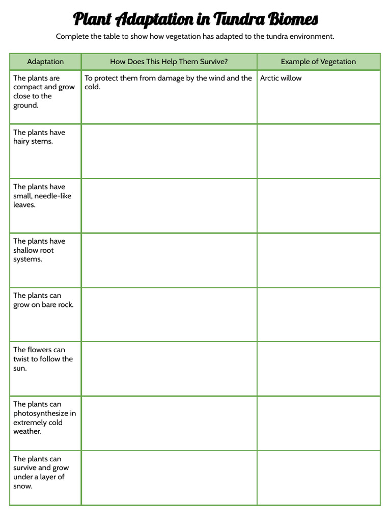 Animal and Plants Adaptation in Tundra Biomes Worksheet | PDF