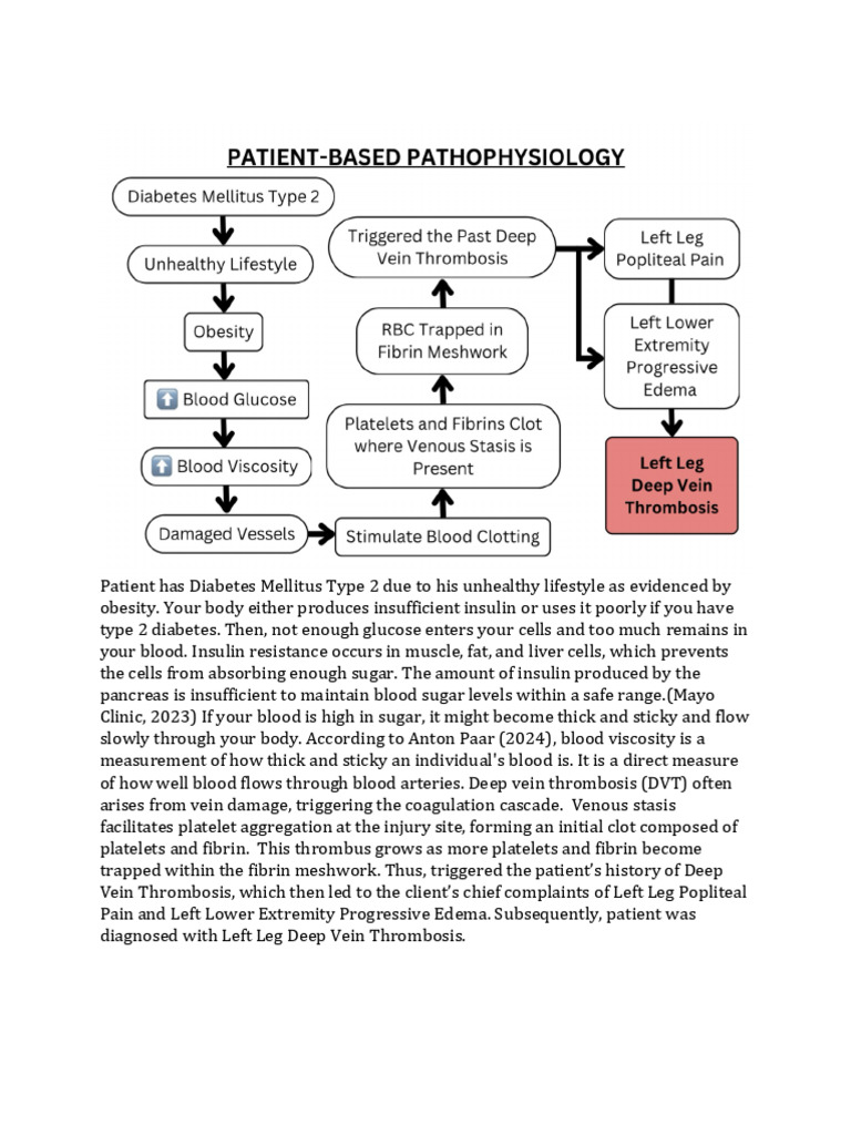 DVT Pathophysio | PDF | Coagulation | Platelet