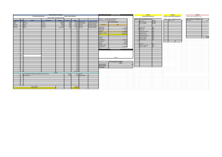 Libro Diario 5.Xlsx - Enero 2025 | PDF