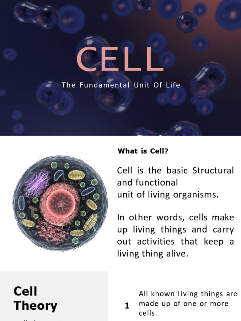 cell | PDF | Endoplasmic Reticulum | Cell Nucleus