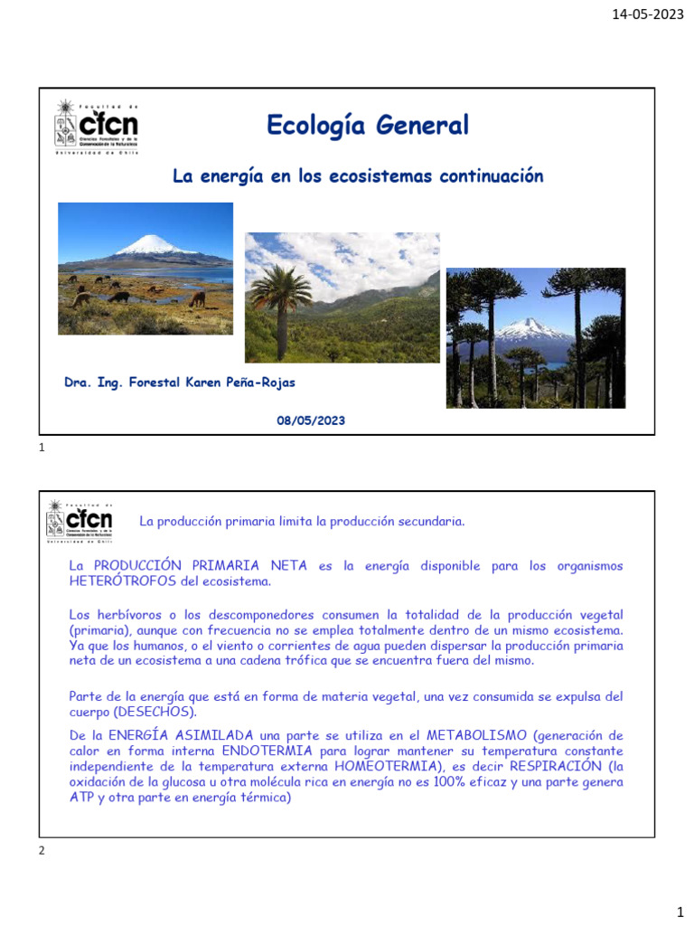 5C_Energ_a_y_Flujo_de_Energ_a_en_Ecosistemas_KPR_2023-1 | PDF | Red alimentaria | Metabolismo