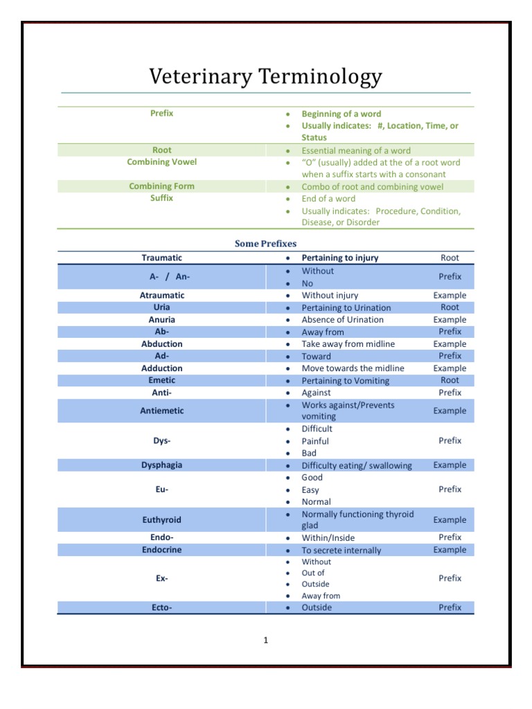 Veternary Terminology | PDF | Anatomical Terms Of Location | Anatomy