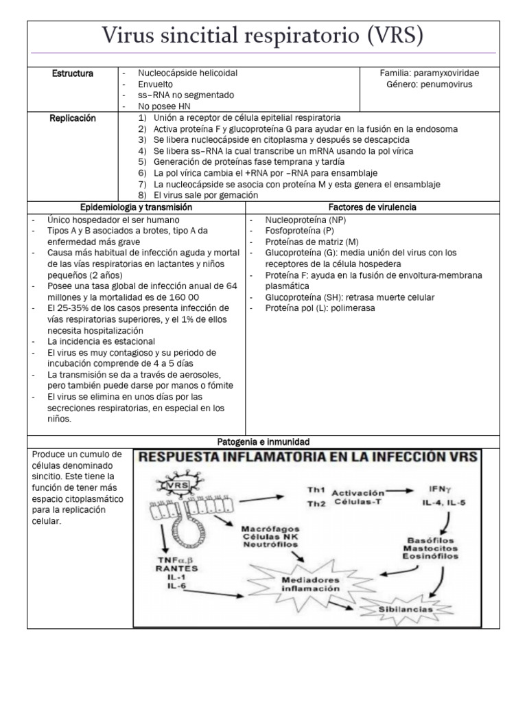 Pneumoviridae, Virus Sincitial Respiratorio y Metaneumovirus | PDF ...