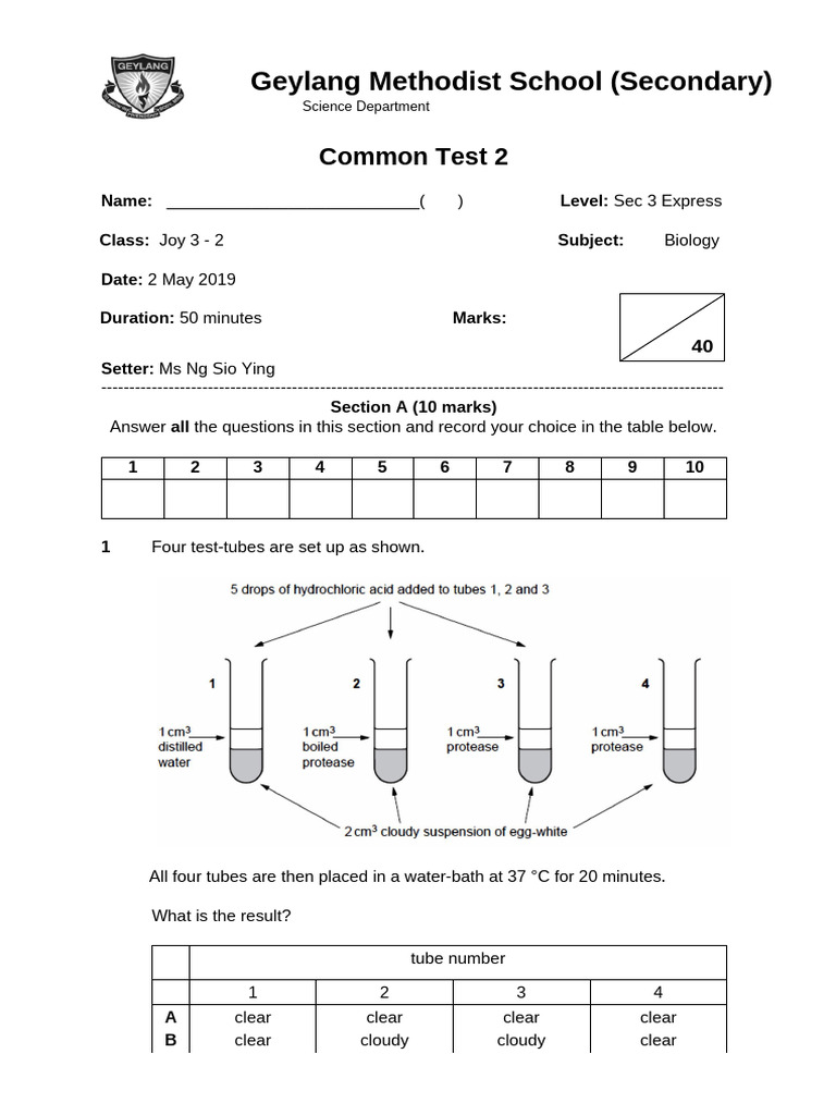 2019 Sec 3E Pure Bio CT2 | PDF | Digestion | Artery