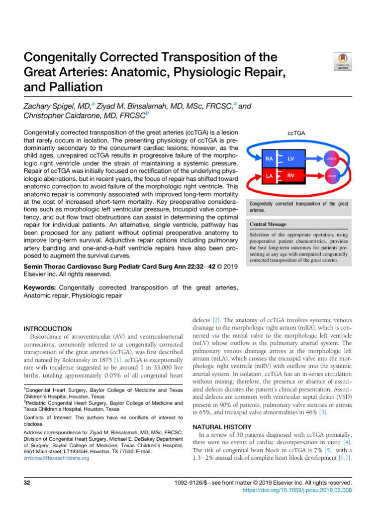 10 1053@j Pcsu 2019 02 008 | PDF | Atrium (Heart) | Heart Valve