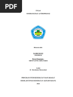 Laporan Praktikum Kimia Dasar Kesetimbangan | PDF