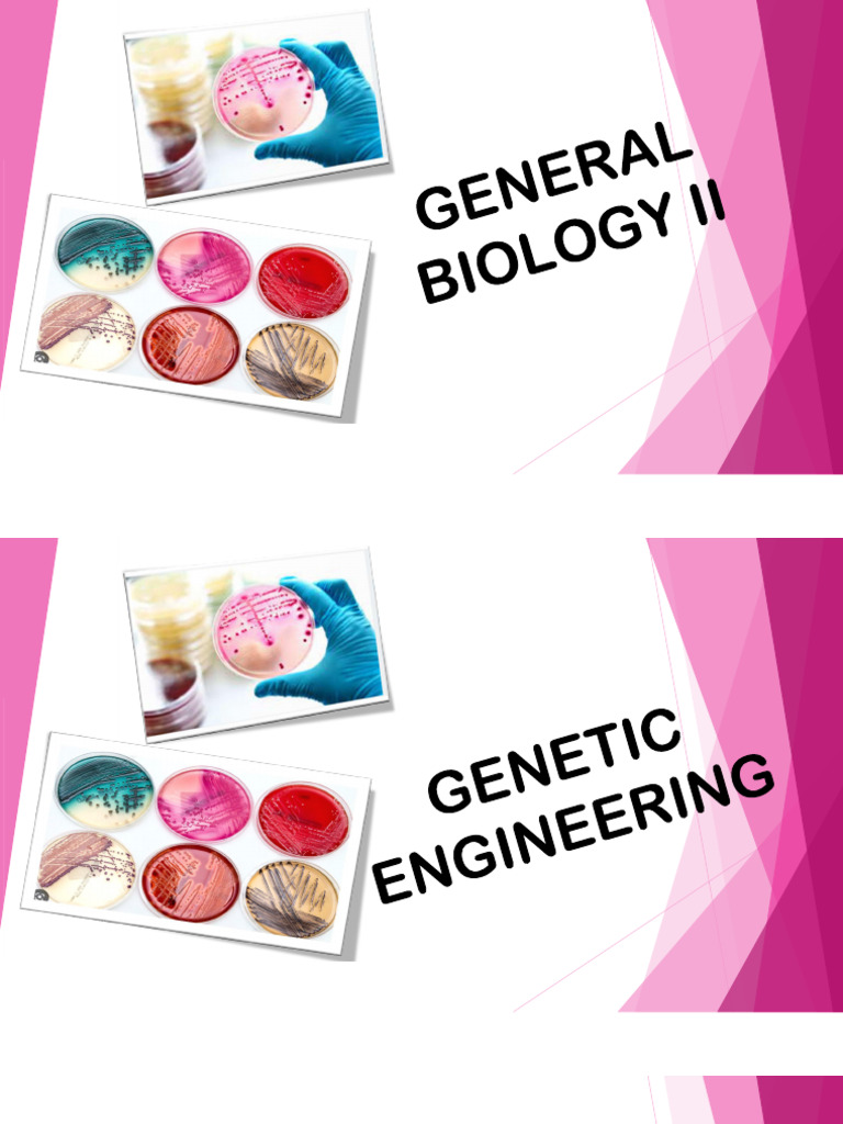Genetic Engineering and Recombinant DNA | PDF | Recombinant Dna ...